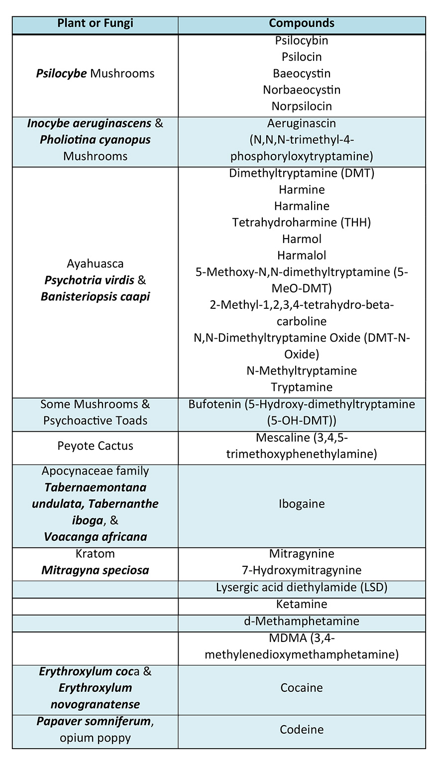 Method for Psychedelics Derived from Plants and Fungi – Natural Product ...